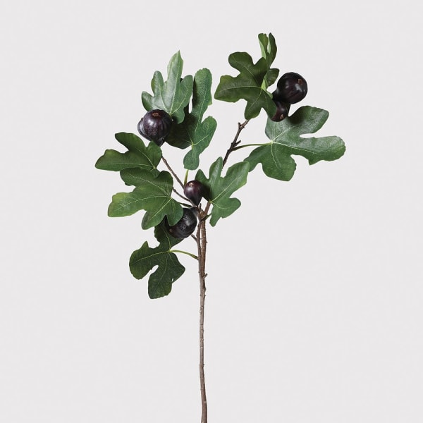 Fig Spray with Leaves – Town & Country Interiors
